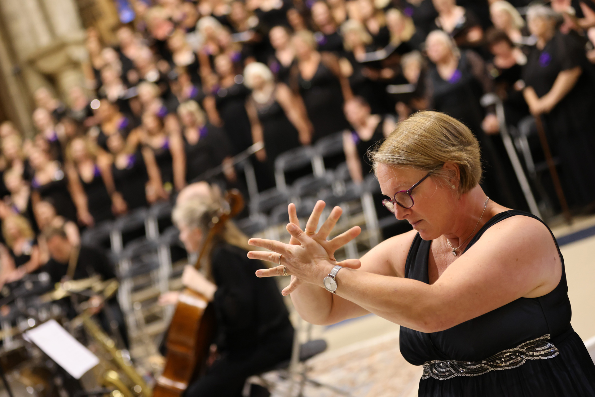 BSL Go! | Interpreting Service